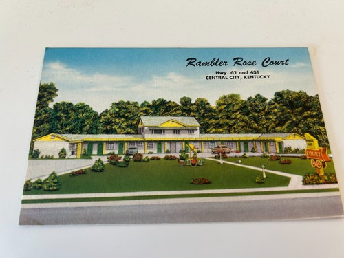 Rambler Rose Court Central City Kentucky Hwy 62 and 431 Postcard | eBay