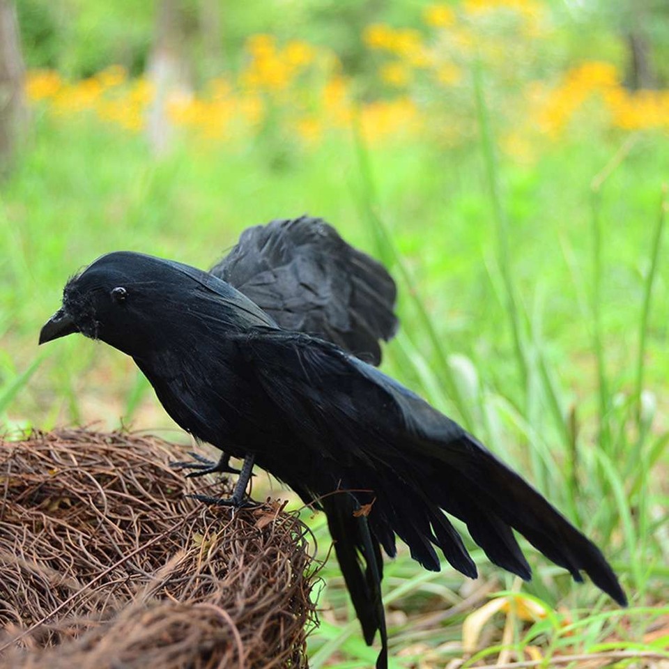 3PCS Halloween Crow Prop Large Realistic Raven Feathered Spooky Party ...