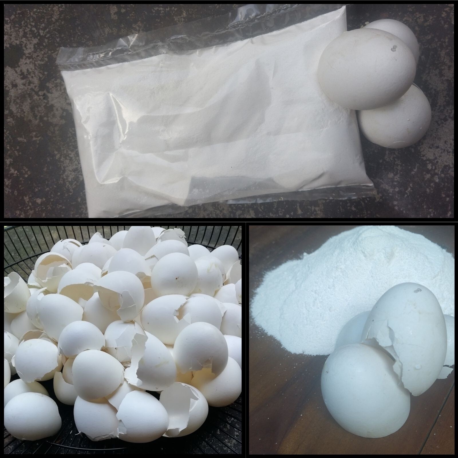 Powder Eggshell Shell Egg Calcium Cascarilla Fertilizer Organic POWDER ...