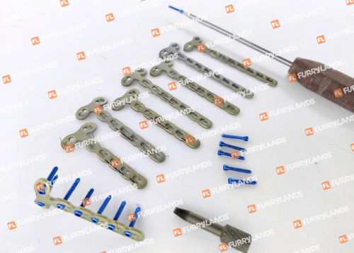 2.7mm Safety Locking T Adaption Plates 3–7 Holes with Screws – 72 Pcs ...