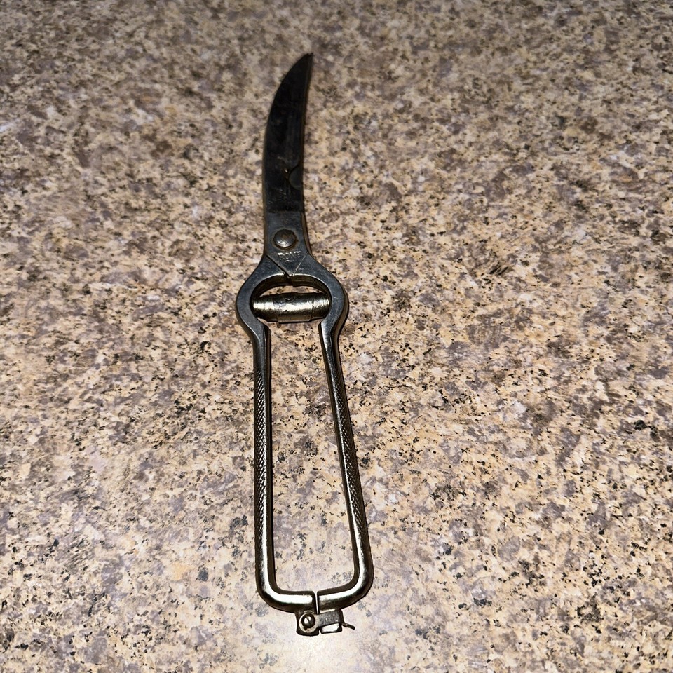 Vintage Kitchen/ Poultry Chicken Shears W/ Locking Handle Rome Italy ...