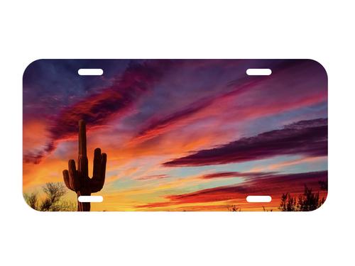 Desert Sunset Sky Vehicle License Plate New Mexico Arizona USA Cactus ...