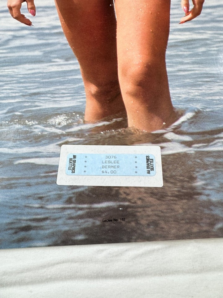 Leslee Bremmer - 1986 Beach Poster 21x32” Celebrity Vintage Pinup Model ...