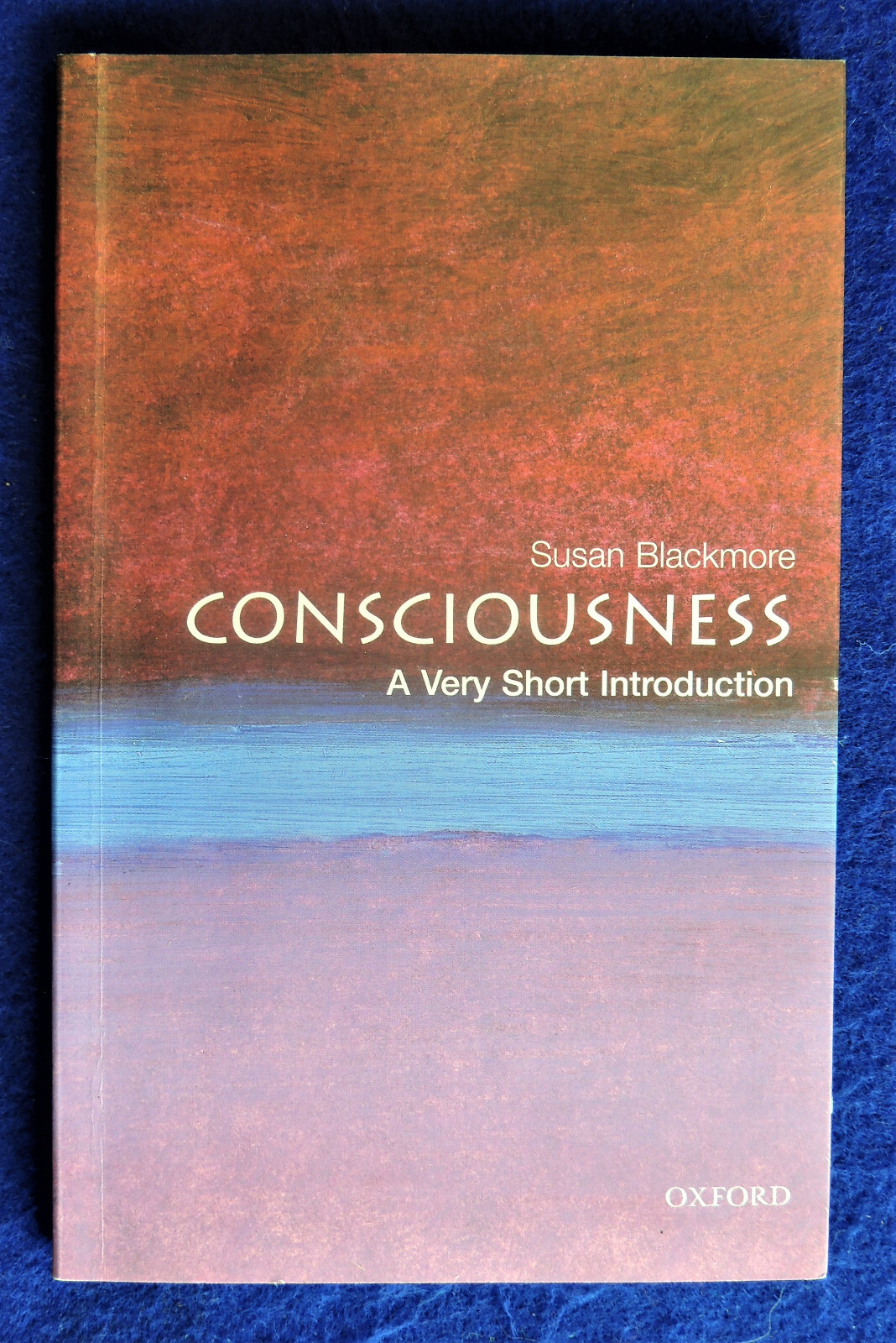 Very Short Introductions Ser.: Consciousness: a Very Short Introduction ...