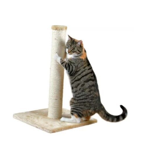 Parla Cat Scratching Post : For Indoor Cats : Plush Covered Base And ...