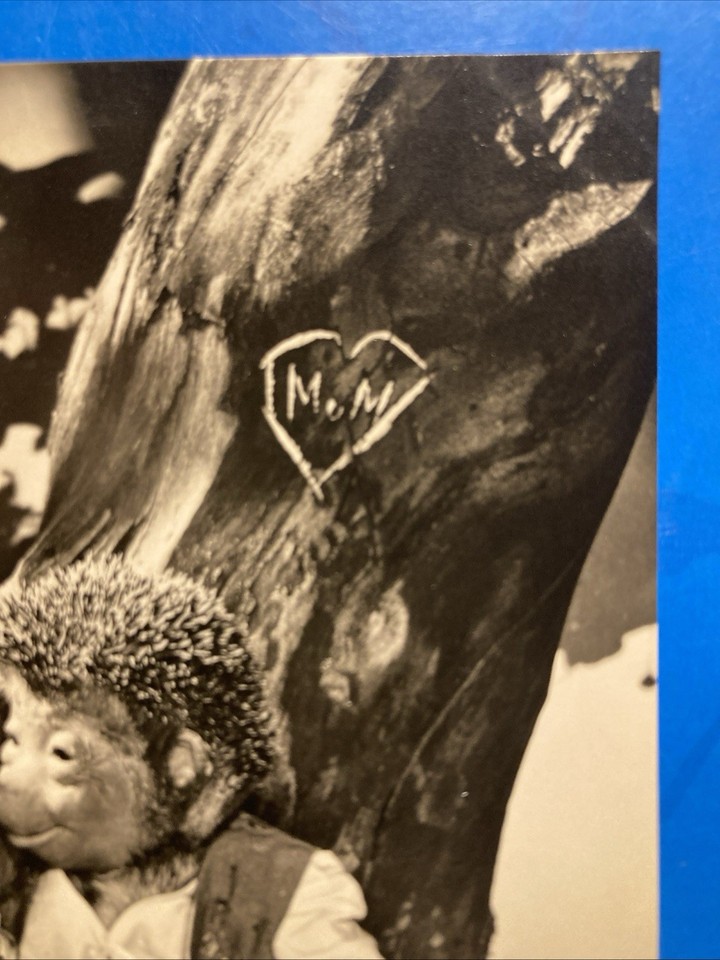 Mecki - Sag Du zu mir! • Diehl-Film • Gunkel Karte | eBay UK