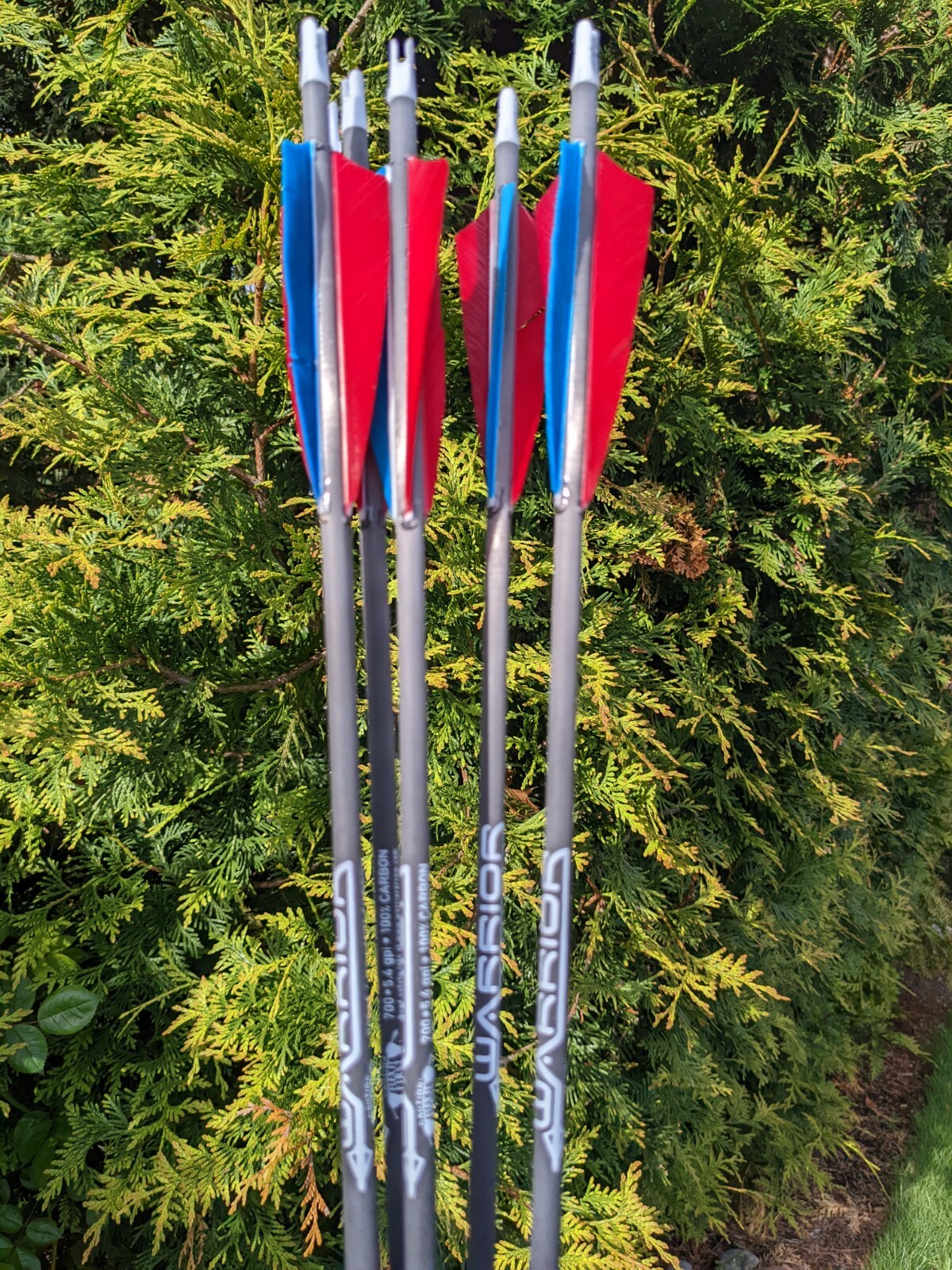 Gold Tip Warrior Carbon Arrows. 700, 600, 500, 400, 340, or 340. 6 Pack ...