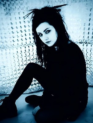 11.69x16.54 Evanescence Band Amy Lee Poster Fallen Photography | eBay