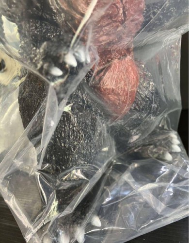 Toy Figure Envy Evil Space Warrior Godzilla Glow-in-the-dark Version ...