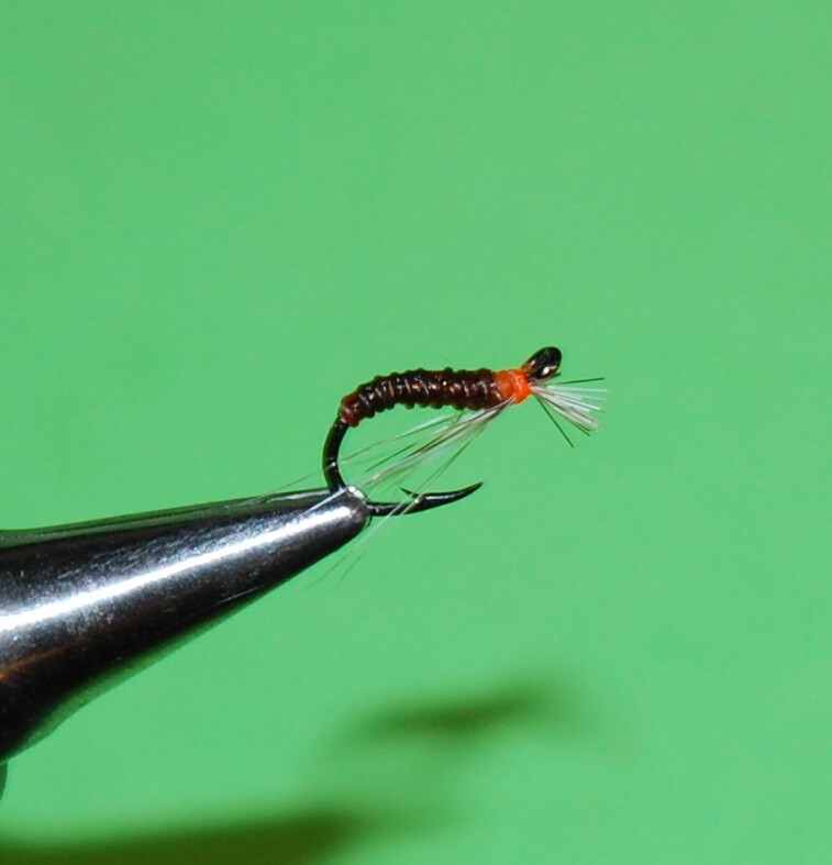 1 dozen (12) Nano Emerger - Life Stage Pupa - Sub Surface Fly - Tandem ...