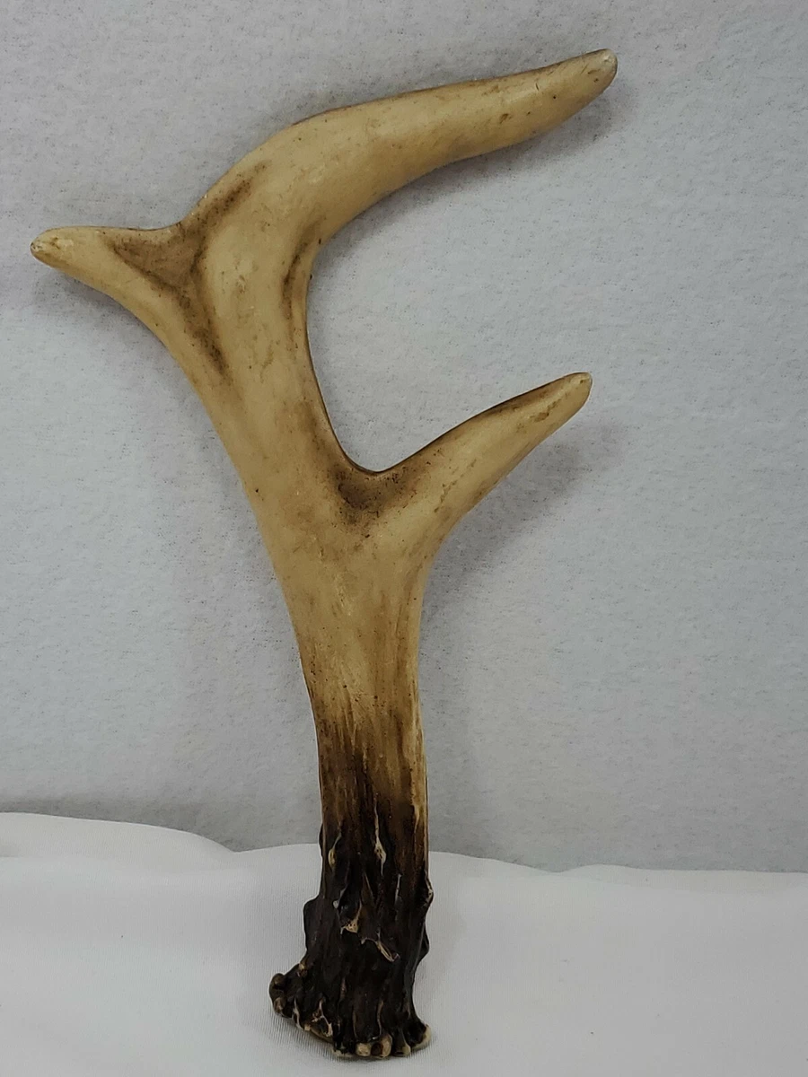 Csw Antler Letters