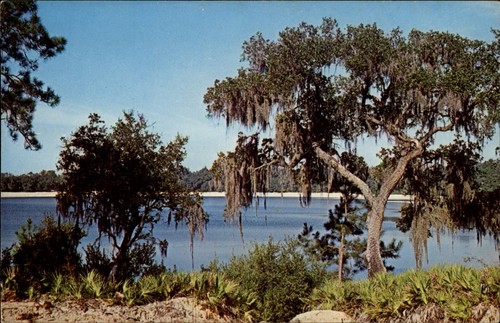 Crystal Lake Georgia vintage postcard b240 | eBay