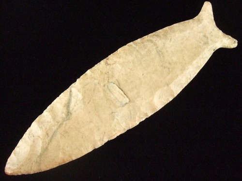 Exceptionally Fine 4 1/2 inch Alabama Cumberland Point with COA ...