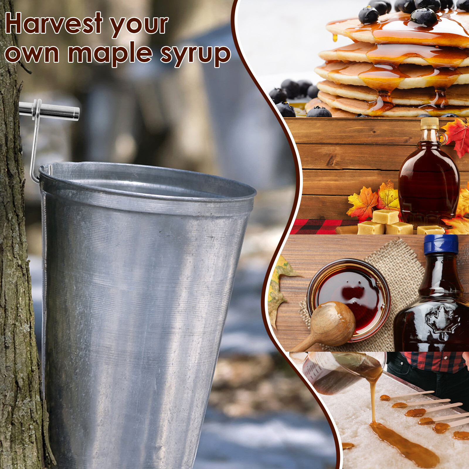 Maple Syrup Tapping Kit Stainless Steel Maple Tree Taps Spiles Easy to ...