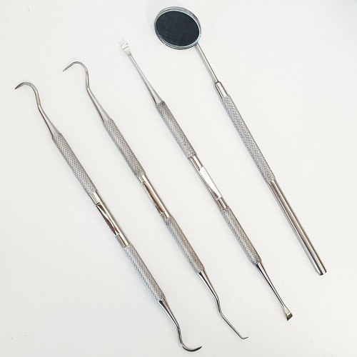 Dental Examination Set Basic Diagnostic Kit Tool 4 pcs Stainless Steel ...