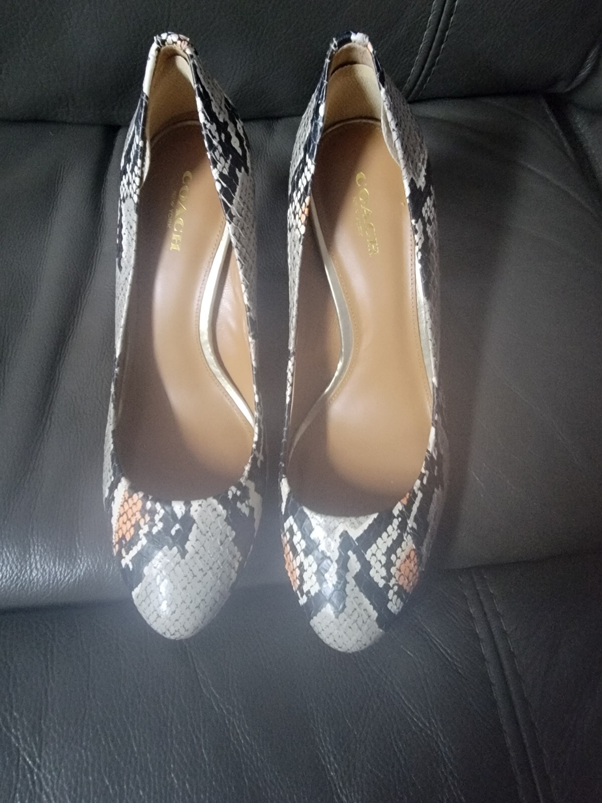 Coach Graphic Snake Nala Heel Size 7 M With Box - Gem