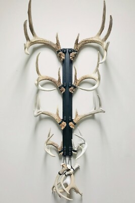 RACK TRACK–Shed Antler Mounting Kit-32” Kit #12– Display Up to (12 ...