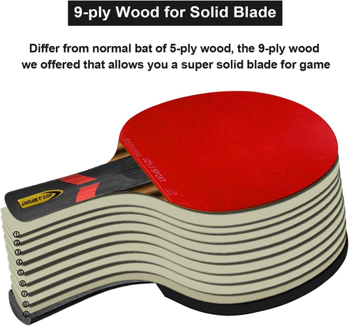 Professional Table Tennis Paddle with Case, ITTF Approved Ping Pong ...