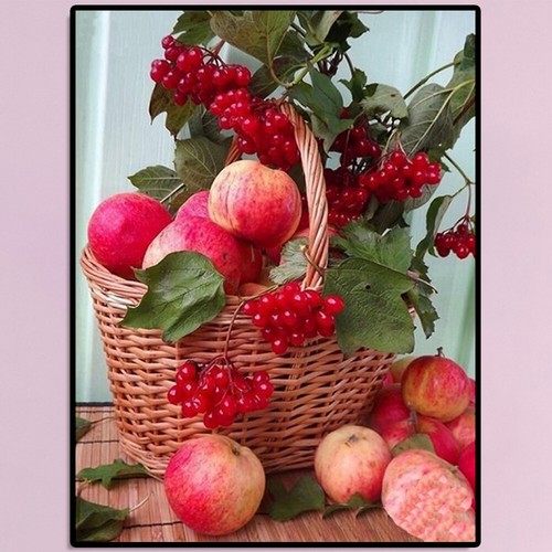 fr Canvas Picture Craft Full Round Fruits Handmade DIY Diamond Painting ...