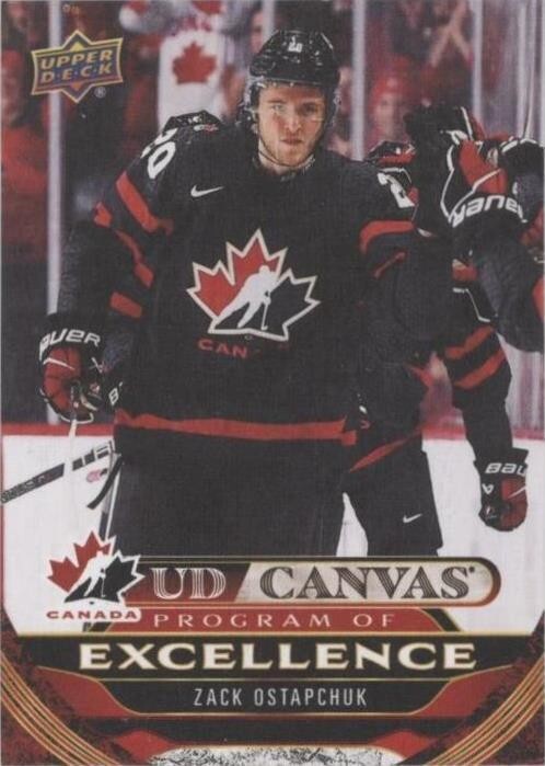 2024-25 Upper Deck Series 2 - Ud Canvas Program of Excellence Zack ...