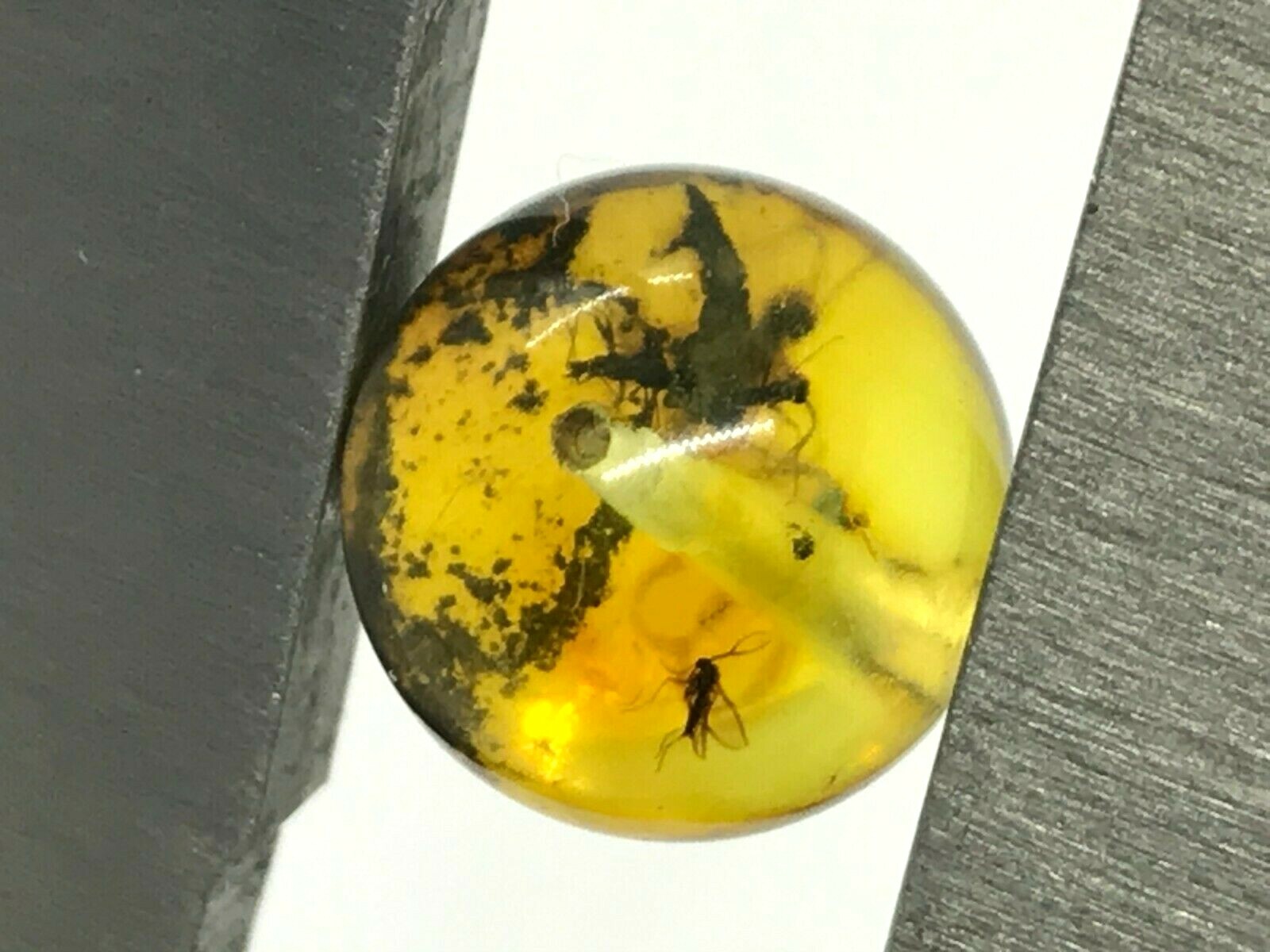 AMBER 3 Insects Round Bead DRILLED For Prayer Bracelet Necklace Baltic ...