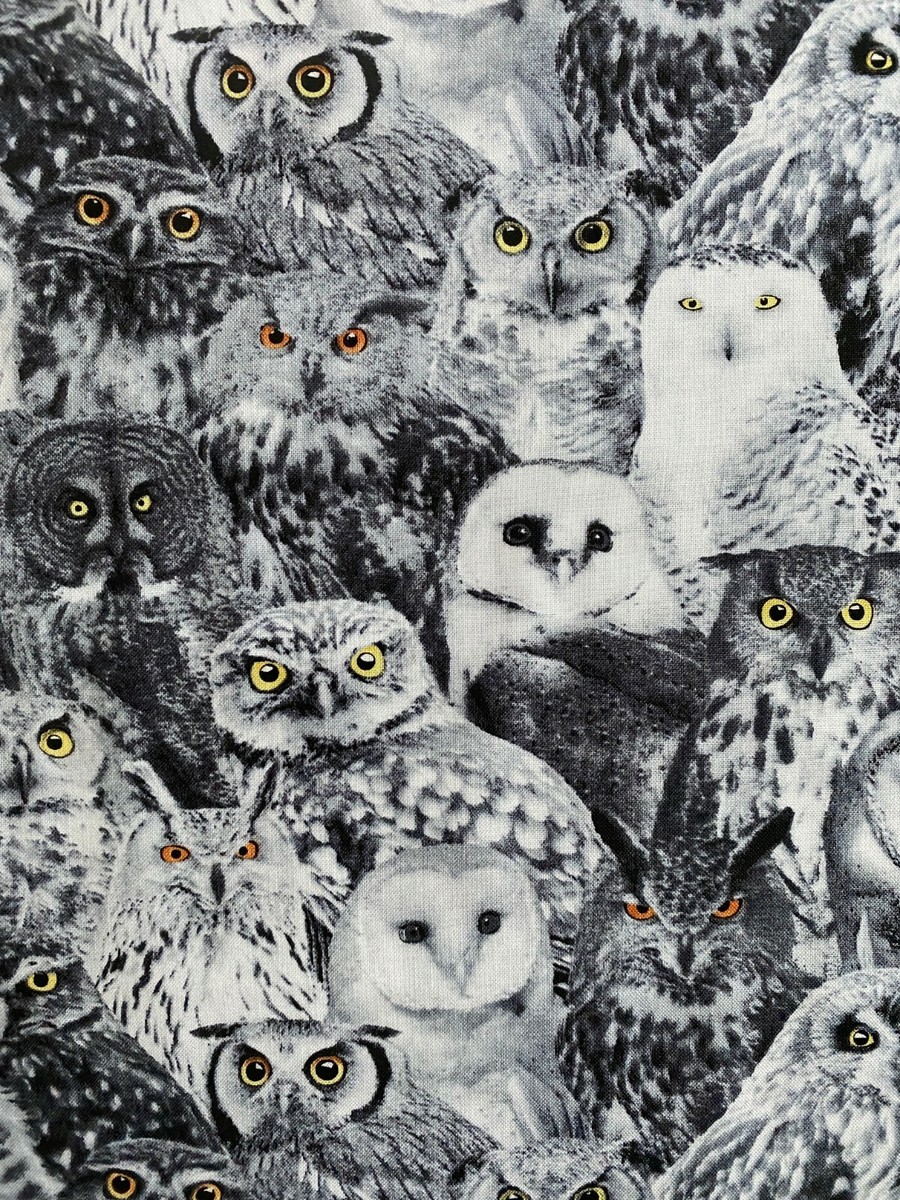 Retro Owls Fabric