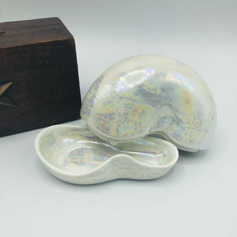 Vtg Nautilus By Lenox 1989 Snail Shell Porcelain Trinket Box Iridescent ...