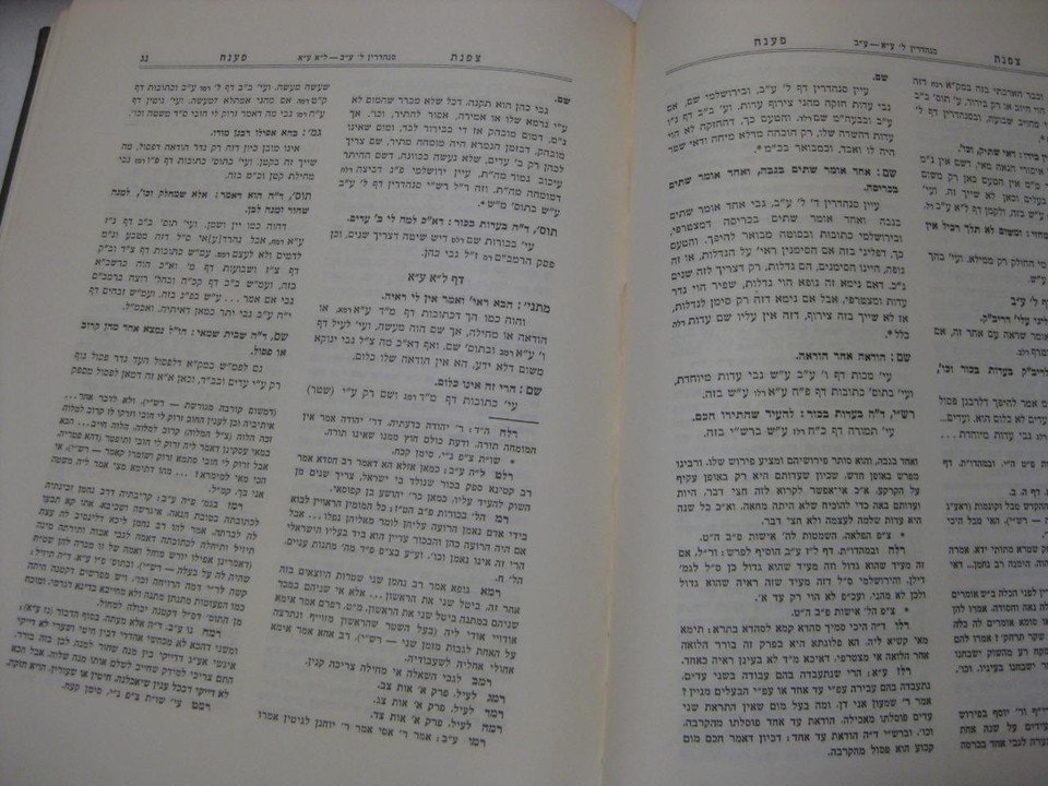 Hebrew TZOFNAT PANEACH Rogatchover Gaon צפנת פענח ON SANHEDRIN Kasher ...