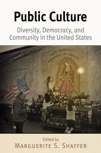 Public Culture : Diversity, Democracy, and Community in the United ...