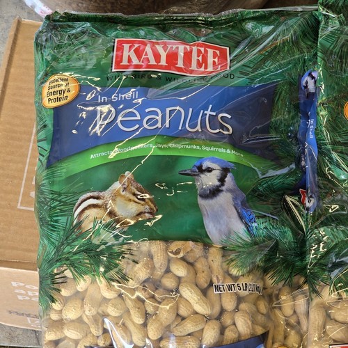 Kaytee Peanuts in Shell for Squirrels, Jays,Cardinals & Other Wild ...