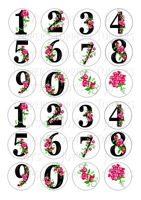 24 FLOWERED NUMBERS CAKE WAFER RICE EDIBLE FAIRY/CUP CAKE BUN TOPPERS ...