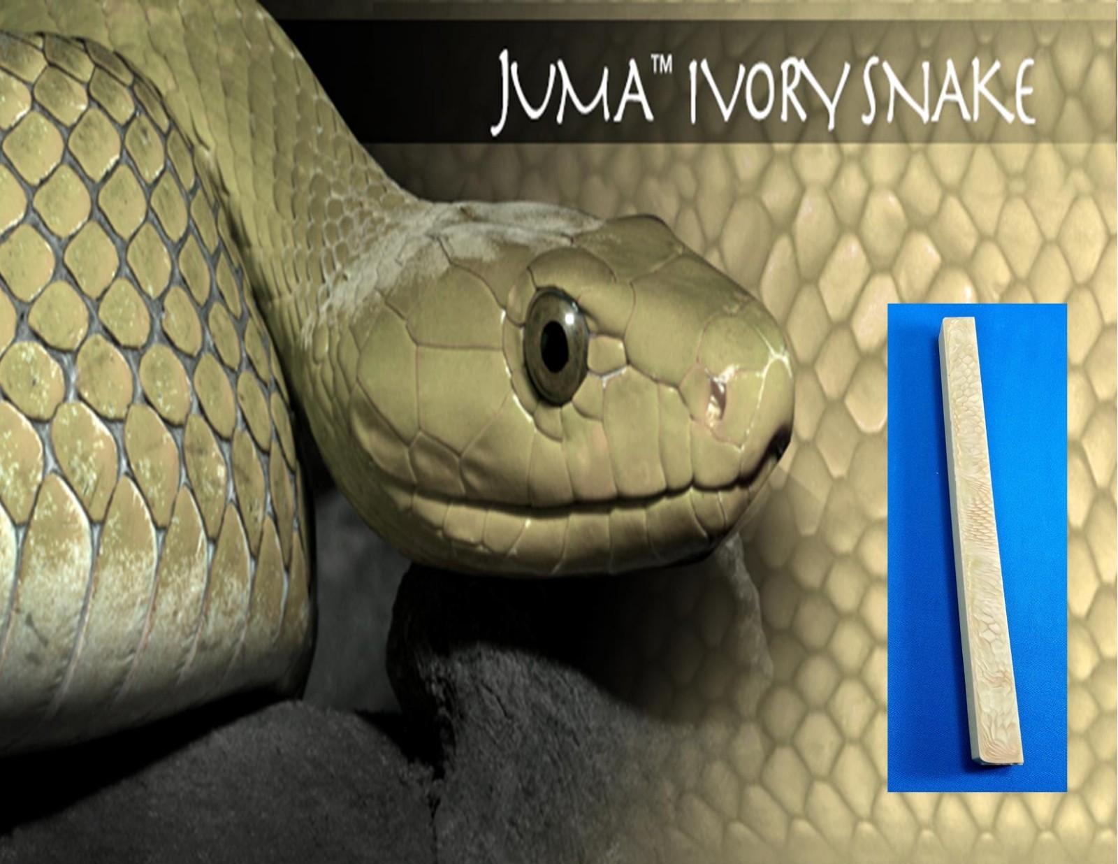 1 JUMA ® IVORY SNAKE PEN BLANK .750" x .750" x 6" STEM TURNING SQUARE ...