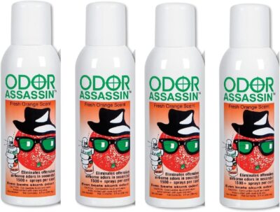 Odor Assassin Orange, Set of 4 | eBay