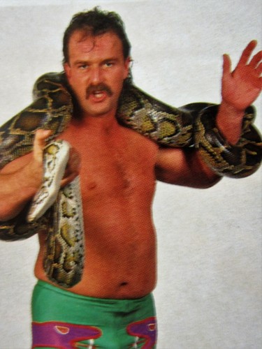 WWF SUPERSTARS OF WRESTLING MARCH 31 & APRIL 7, 1990 PRO WRESTLING DVD ...