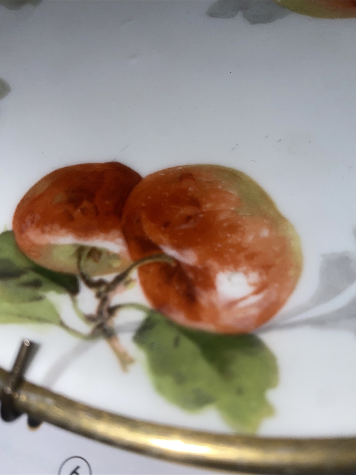 T. Luc Early Limoges Hand Painted Apples Signed Plate Wall Hanger ...