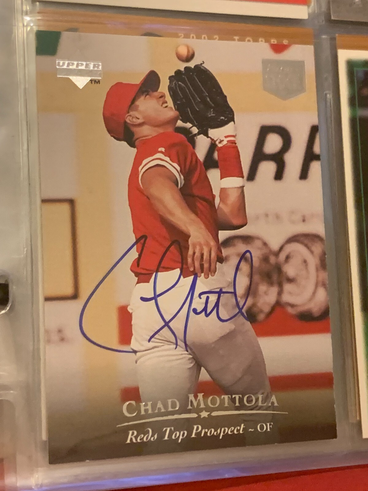 CHAD MOTTOLA AUTOGRAPHED SIGNED 1995 UPPER DECK MINORS CARD COA | eBay