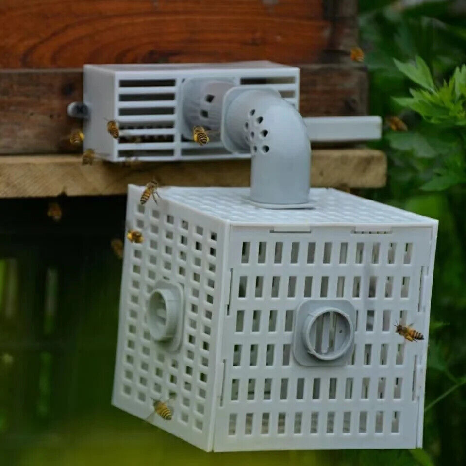 Bee Hive Tool Automatic Bee Divider Prevent Escaping Bees Remove Male ...