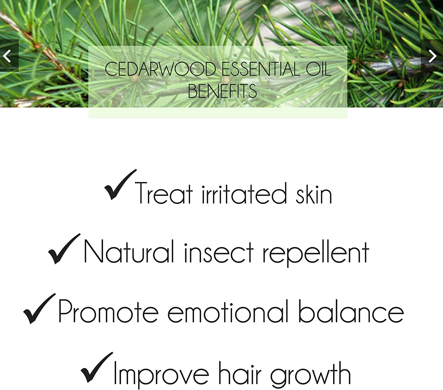 Cedar Cedarwood Essential Oil 10Ml - Pure & Natural Aromatherapy Oils ...