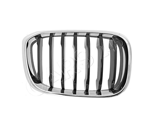Kühlergrill re Für BMW X3 G01 F97 18-20 51137478670 | eBay.de