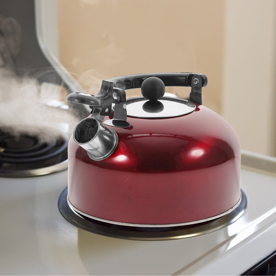 Tea Kettle Stainless Steel Chirping Travel Induction Kettles for ...