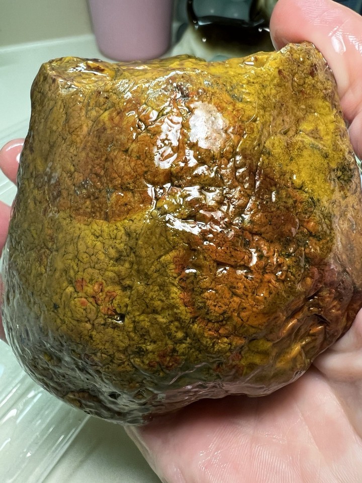 Stunning Rare MN Poppy Jasper 1lb+ Rock Specimen Lapidary Cabbing Rough ...