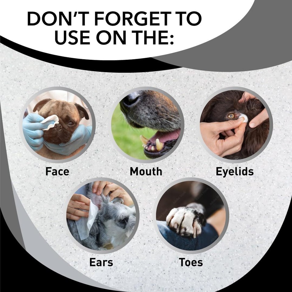 Skunk Off Pet Shampoo – Ready to Use Skunk Odor Remover for Dogs, Cats ...