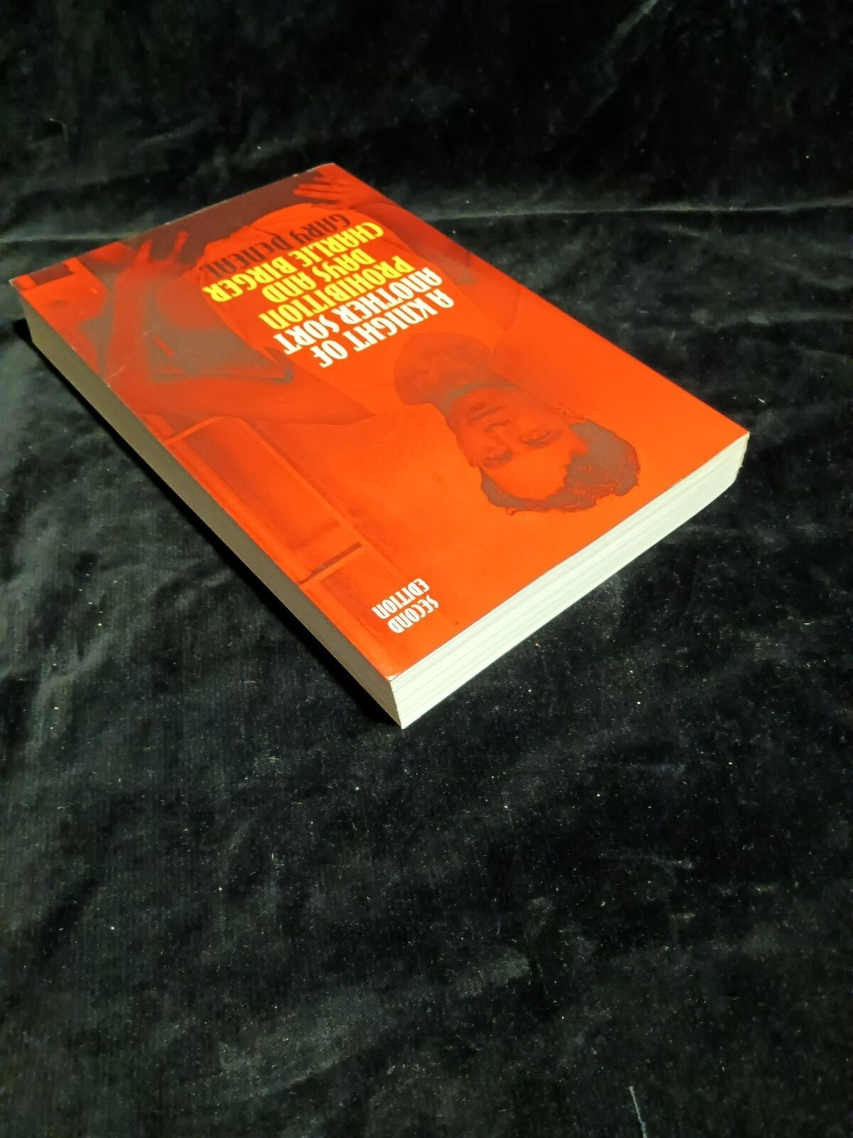 Knight of Another Sort : Prohibition Days and Charlie Birger, Second ...