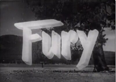 FURY TV SERIES 114 EPISODES ON 19 DVDS | eBay