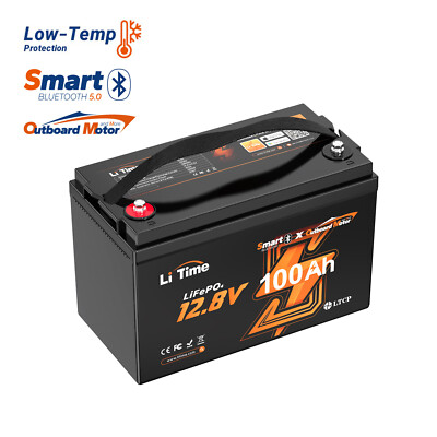 LiTime 12/24V/36V/48V/60V 100Ah OBM Bluetooth LiFePO4 Battery Outboard ...