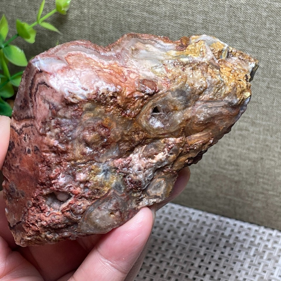Rare Mexican Crazy Lace stone Raw rough rock original Specimen Mexico ...