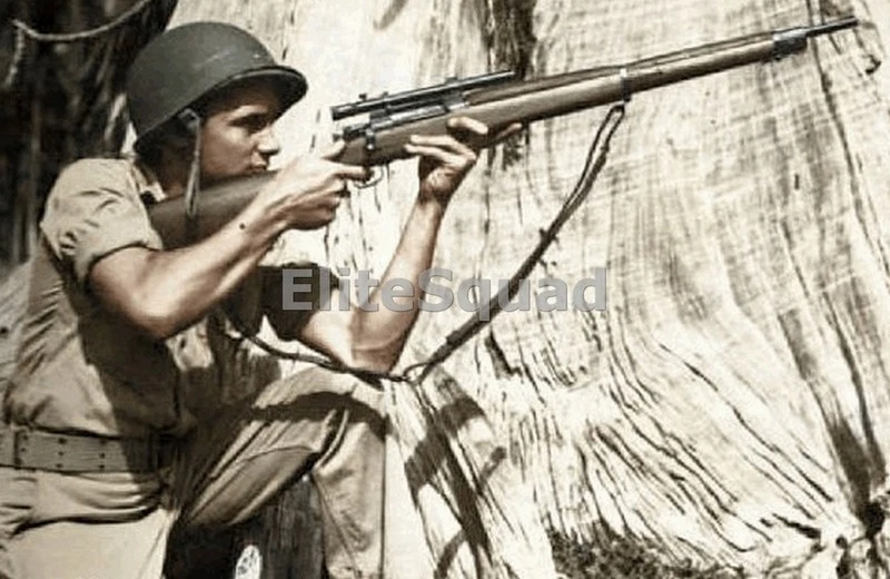 Ww2 American Sniper Rifle