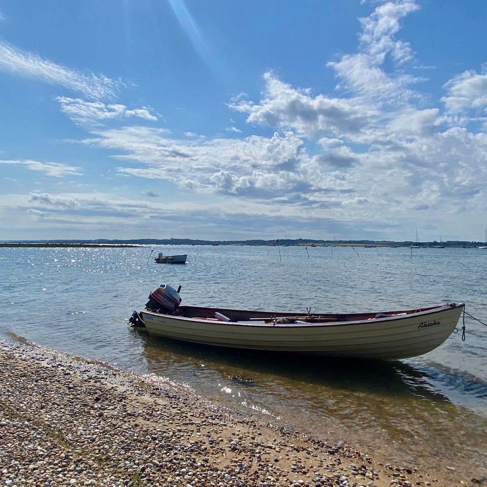Bonwitco 450 single skin + custom trailer + 25hp 2-stroke short shaft ...