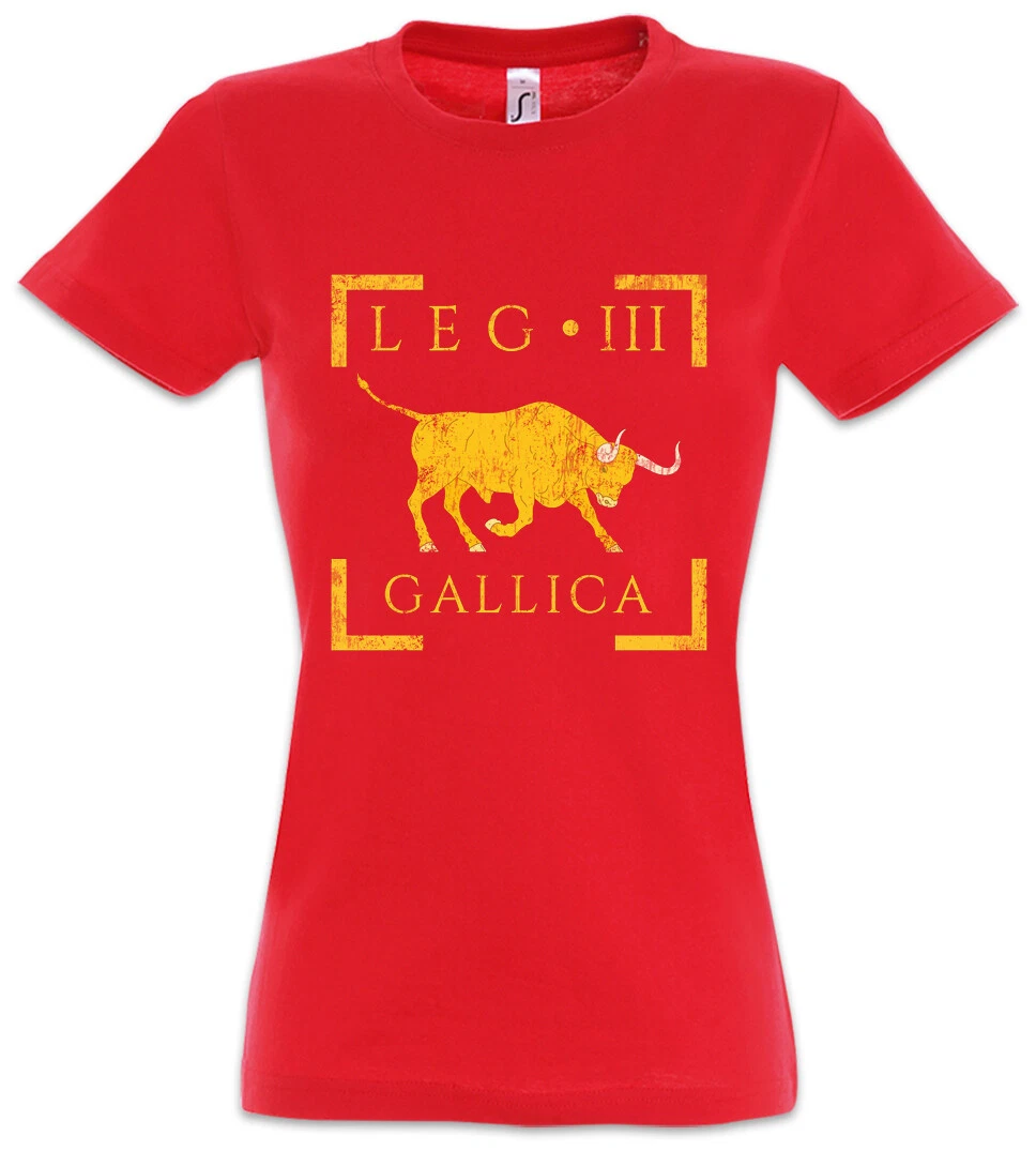 Roman Legion Bull Flag