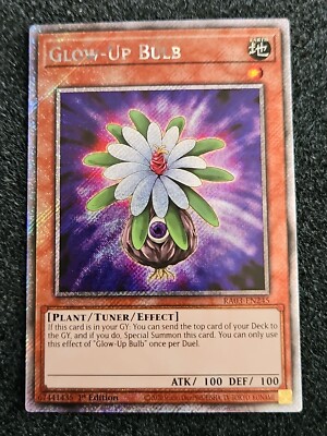 Glow Up Bulb RA03-EN245 - Platinum Secret Rare - NM - In Hand | eBay